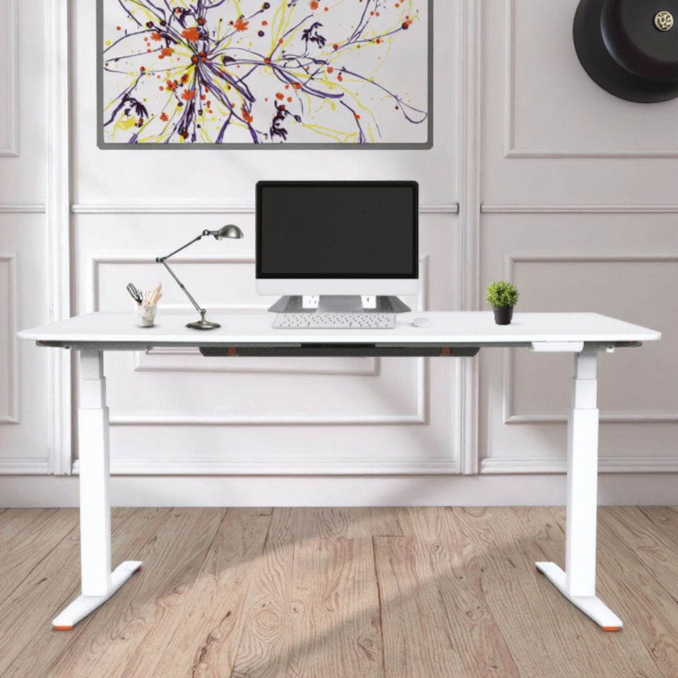 ZGO Modern Ergonomic Standing Computer Desk - Dual Height Adjustable