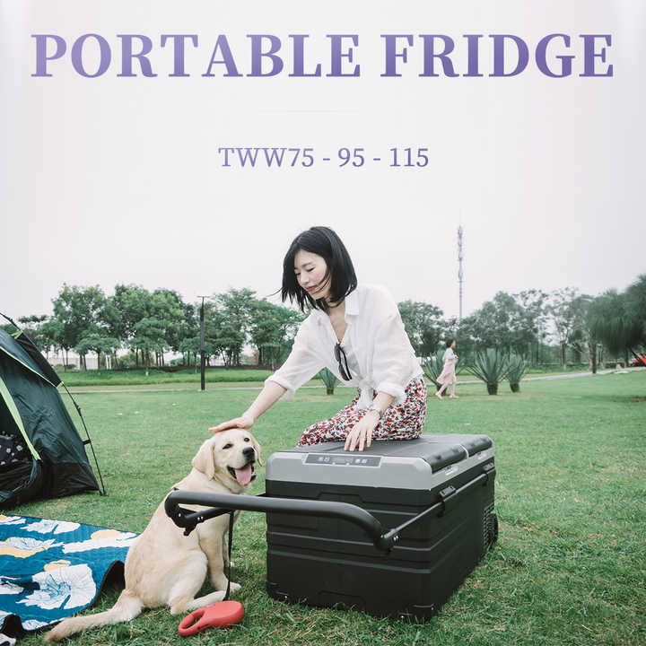 Alpicool TWW75 Dual-Zone Portable Fridge - Perfect for Car