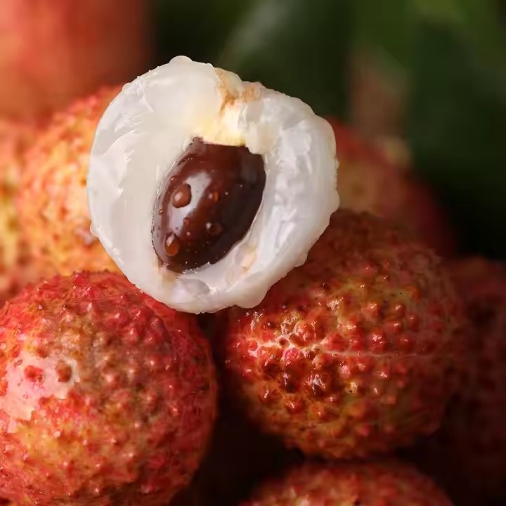 Premium Quality and Diverse Selection of lychee china price for Global ...