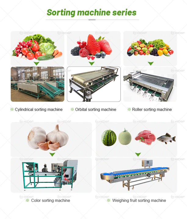 Fully Automatic Apple Citrus Fruit Mango & Vegetable Grading Washing ...