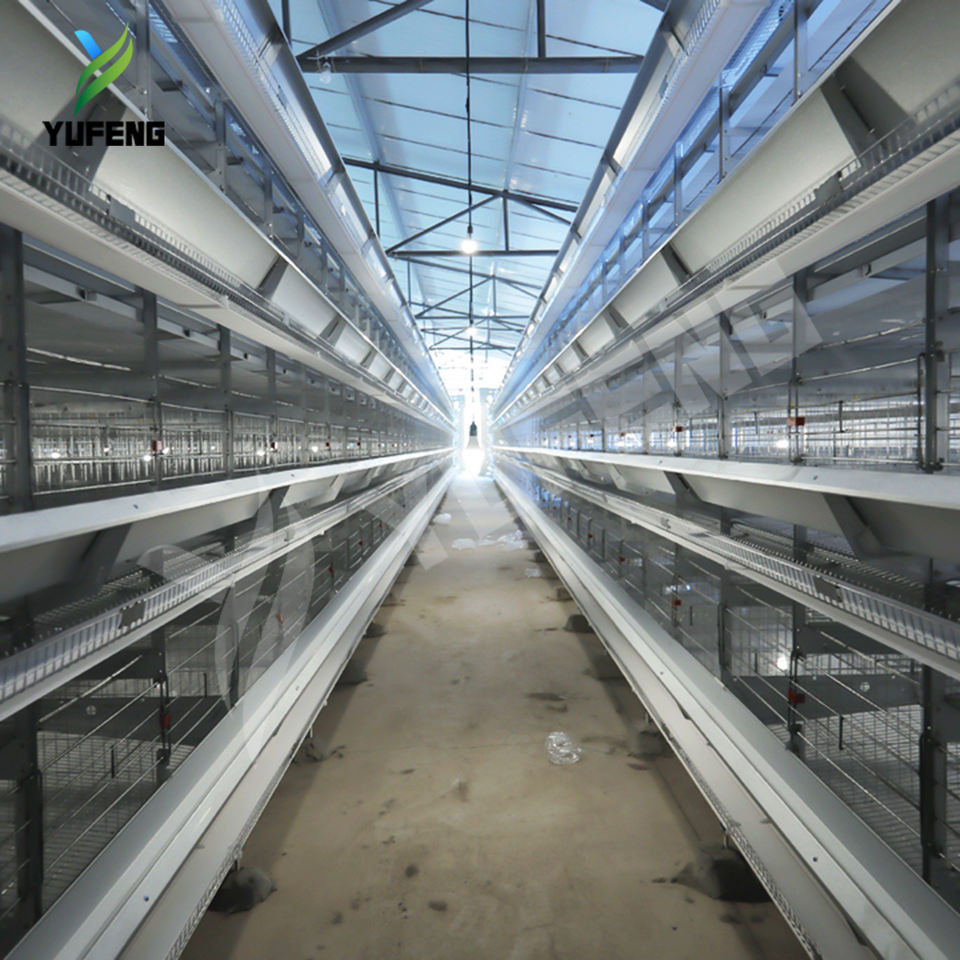 H Type Chicken Cage Cages for Laying Hens Egg Layer Chicken Cage ...