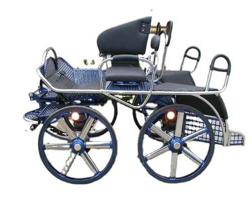 Boxwagen for Royal Marathon Training - Horse Carriage Pony