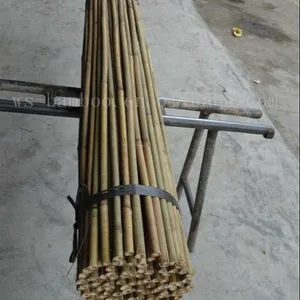 Rigid bamboo tonkin cane for Construction - Alibaba.com