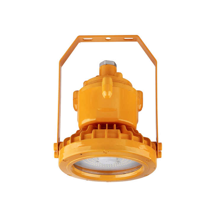 Bestshow Explosion Proof Lamps - IP66 LED Lighting Solutions