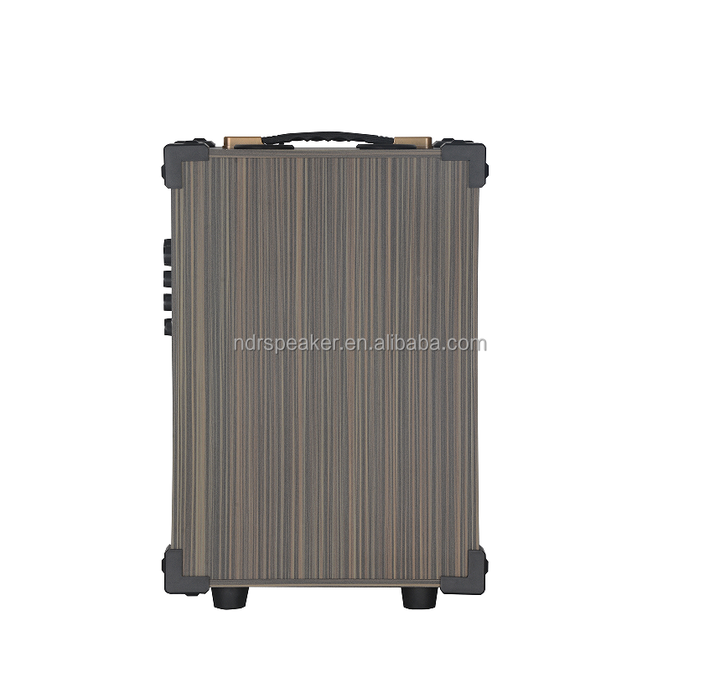 NDR-C8 Portable 40W Outdoor Wireless Audio Speaker - Hot Sale