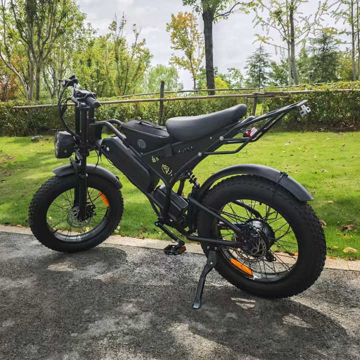 Electric Bike Promotion - 7 Speed Ebike from China