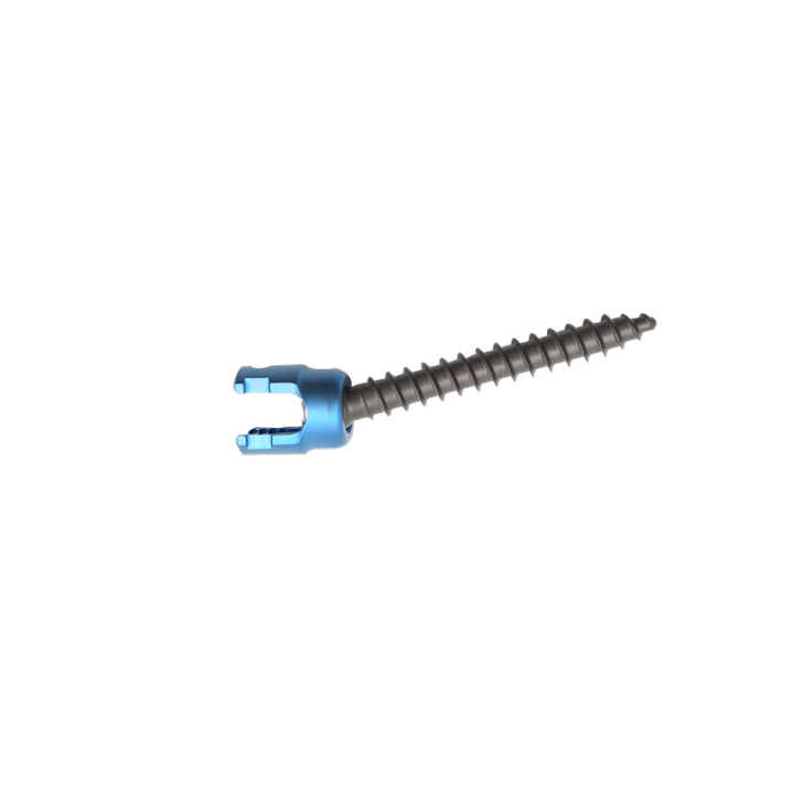 Polyaxial Pedicle Screw System - Secufix 6.0 Internal Fixation