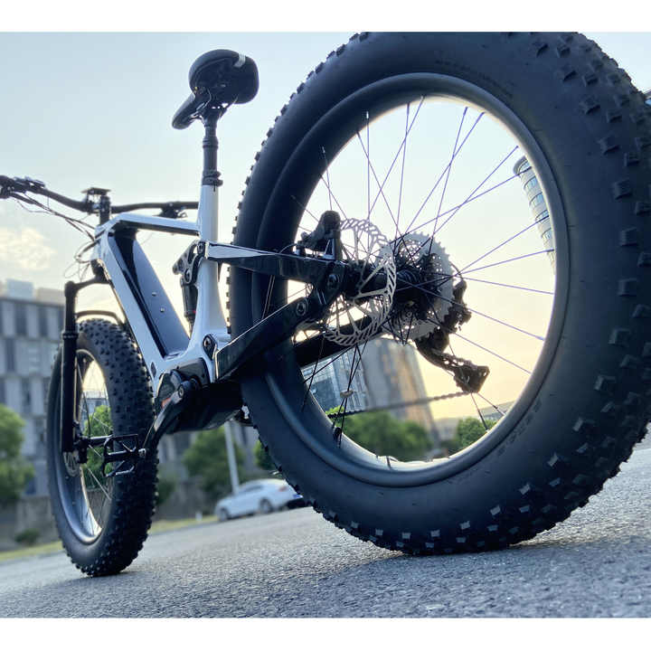 Dirt Fat Tire Electric Bike M620 M560 1000W Full Suspension
