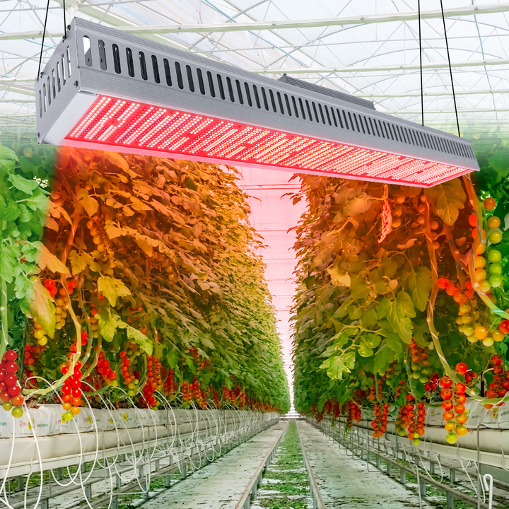 Farming Growth Light LED Lamp 720W Grow Light White 5000K Red 660NM IR ...