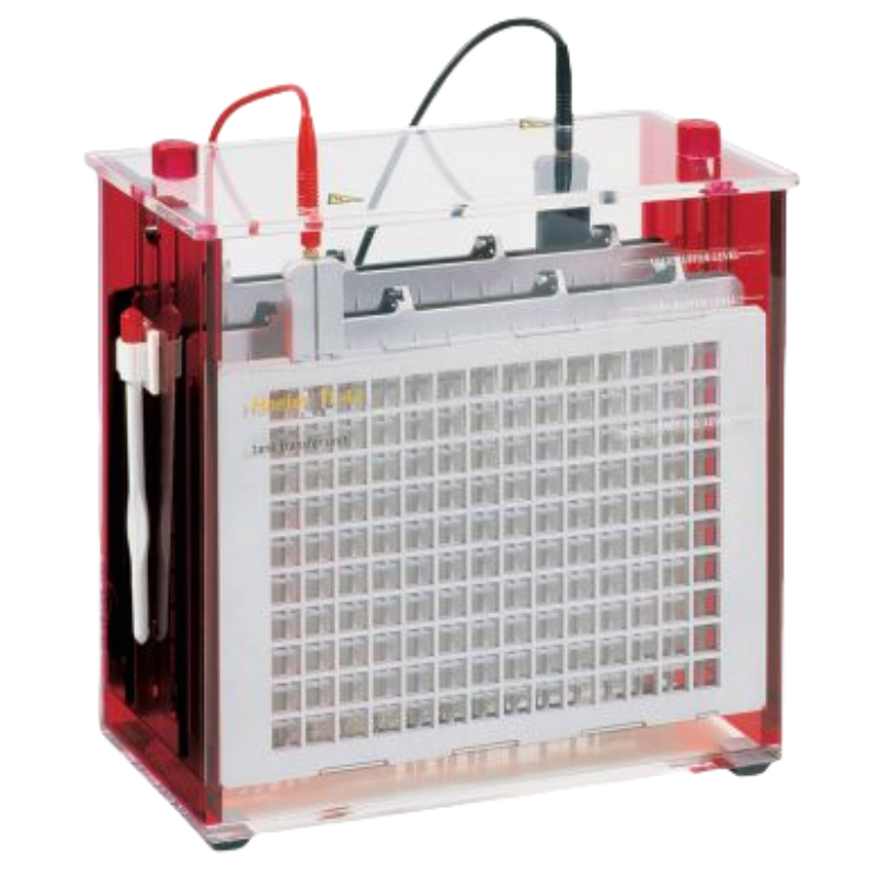 IKEME Laboratory Transfer Horizontal Electrophoresis Tank Gel ...