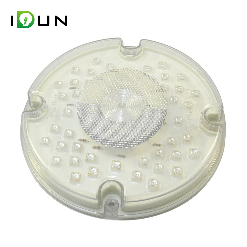 School Bus LED Tail Lights - Durable, Bright, and Reliable