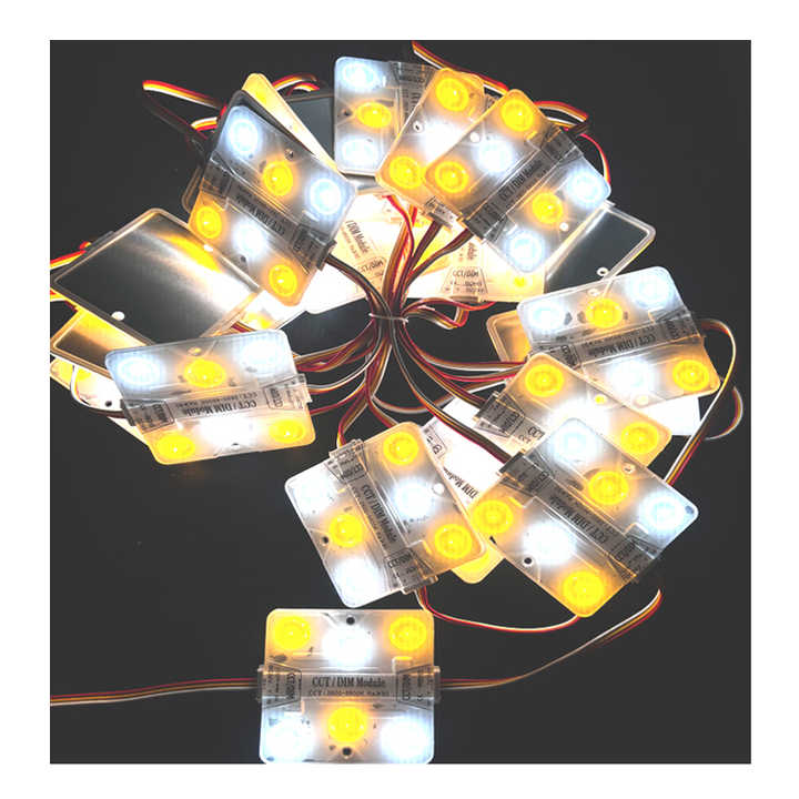 IP68 CCT/DIM Tunable White 2600k-8600k 6 Led Modules Outdoor Waterproof ...