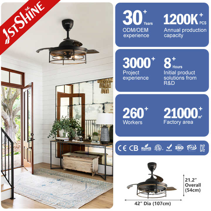 1stshine Ceiling Fan Black Traditional PC Hidden Blades Ceiling Fan ...
