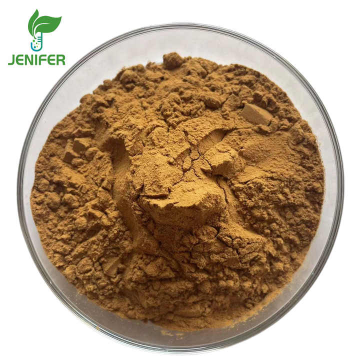 Pure Cistanche Extract Plant Extract Supplement Cistanche Tubulosa ...