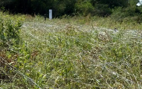 Hidden Inconspicuou Battlefield Twine Wire Mesh Barrier Tank Trap ...