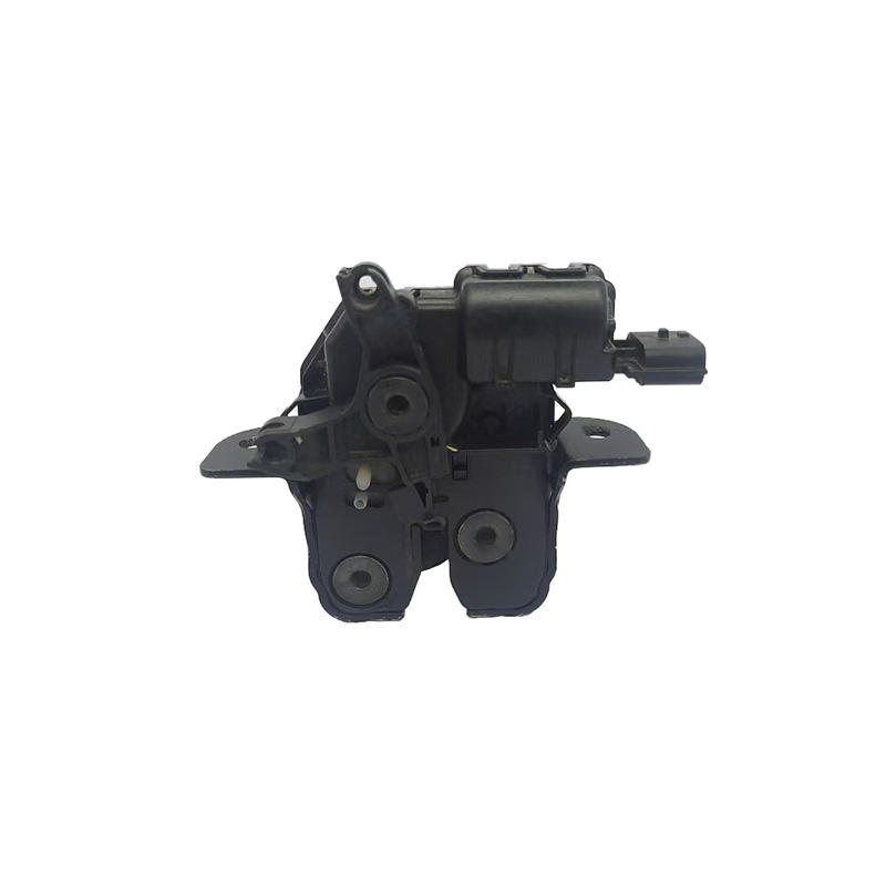 Car Luggage Lock for Renault Dacia Tailgate/Trunk Lock OE 905030010R ...