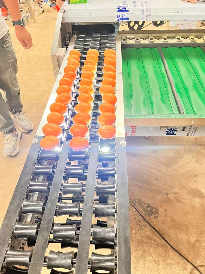 Egg Sorting Machine Small Capacity Egg Grader Spare Parts Egg Washing ...