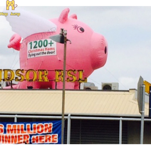 Outdoor Pink Floyd Inflatable Pig For Varied Uses - Alibaba.com