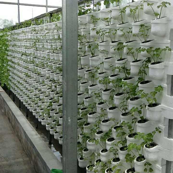Greenhouse Indoor Plant Vertical Hydroponia Tower Growing Systems