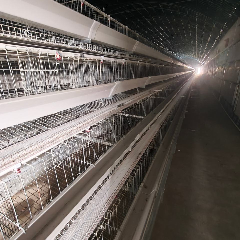 New Durable Galvanized Steel Frame Layer Chicken Cage System High ...