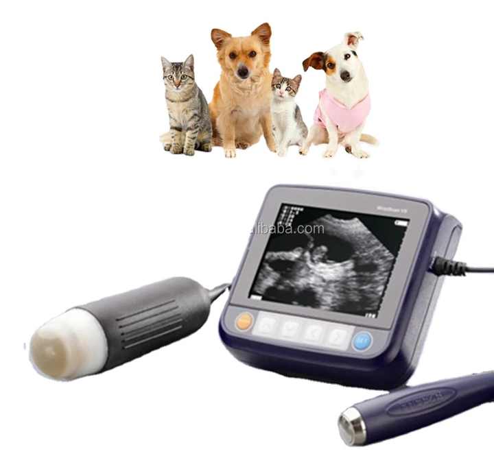 China Goat Ultrasound Machine - Veterinary Scanner RSD-V9