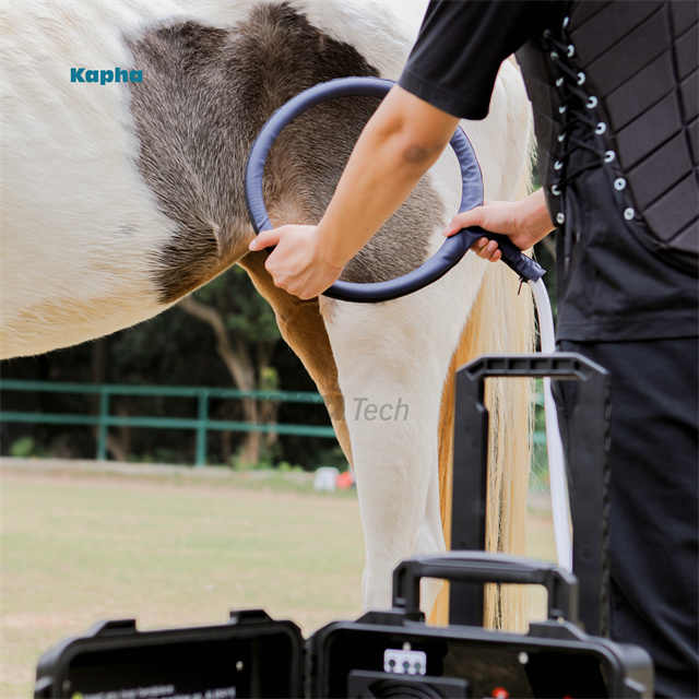 Portable PMST LOOP Magnawave for Horse PEMF Therapy