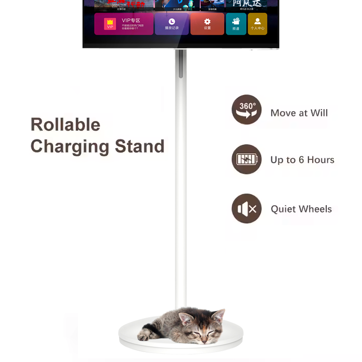 21.5 Inch Portable Smart TV - Perfect for Meeting Rooms