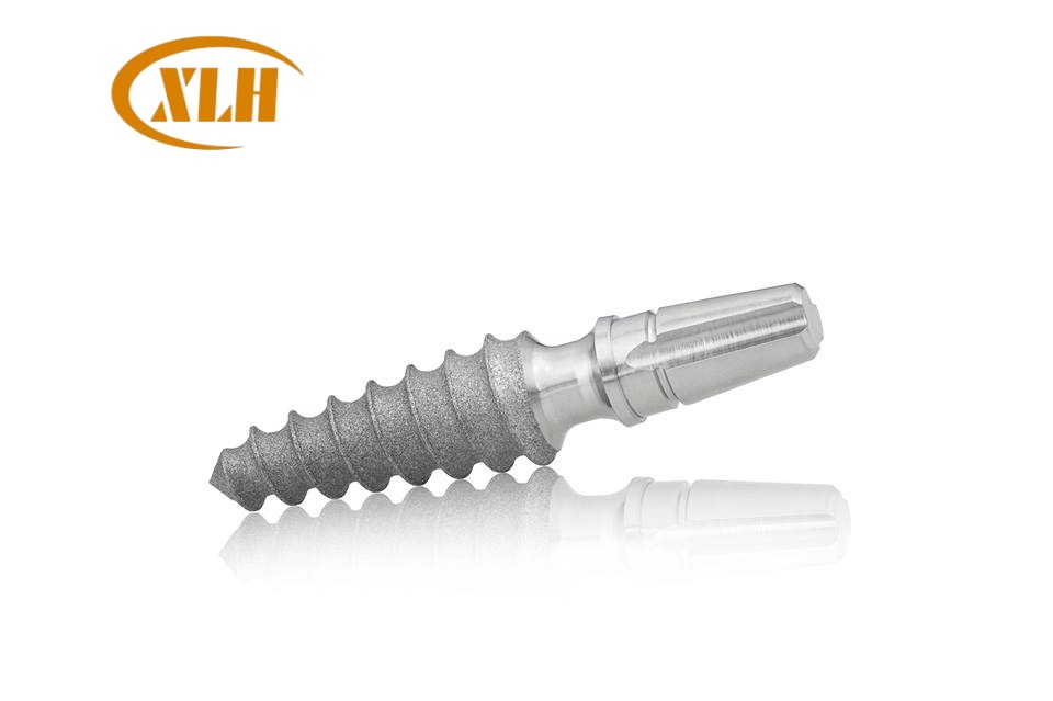 How to Choose the Best One Piece Implant Single Piece for Your Needs