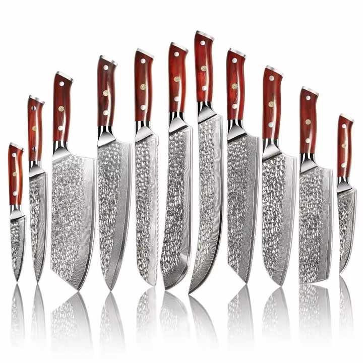 Professional Japanese VG10 Damascus Kitchen Knife Set with 67 Layers ...