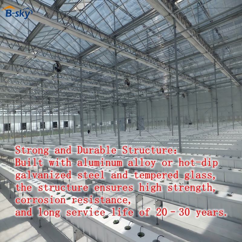 Modern Agricultural Glasshouse Structure for Hydroponic Cultivation and ...