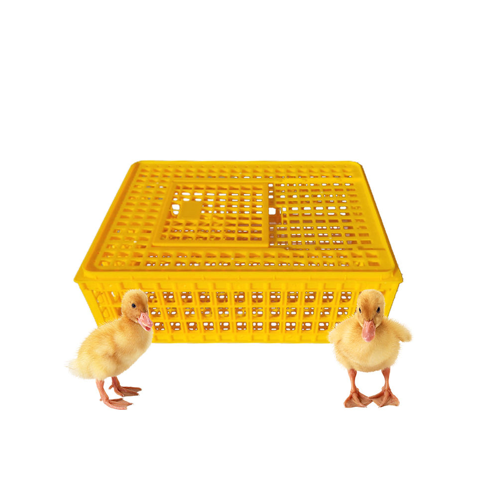Poultry Carrier Crate Plastic Chicken Transport Cage Chick Basket Box ...