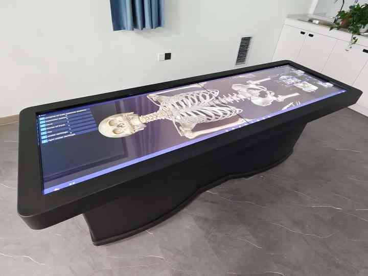 Digihuman Virtual Digital Dissection Table Anatomy Teaching