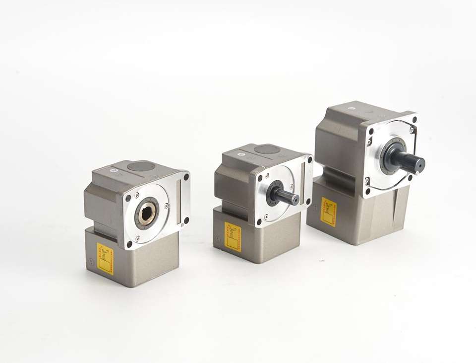 Taili 300W AC Right Angle Shaft Induction Micro Gear Motor