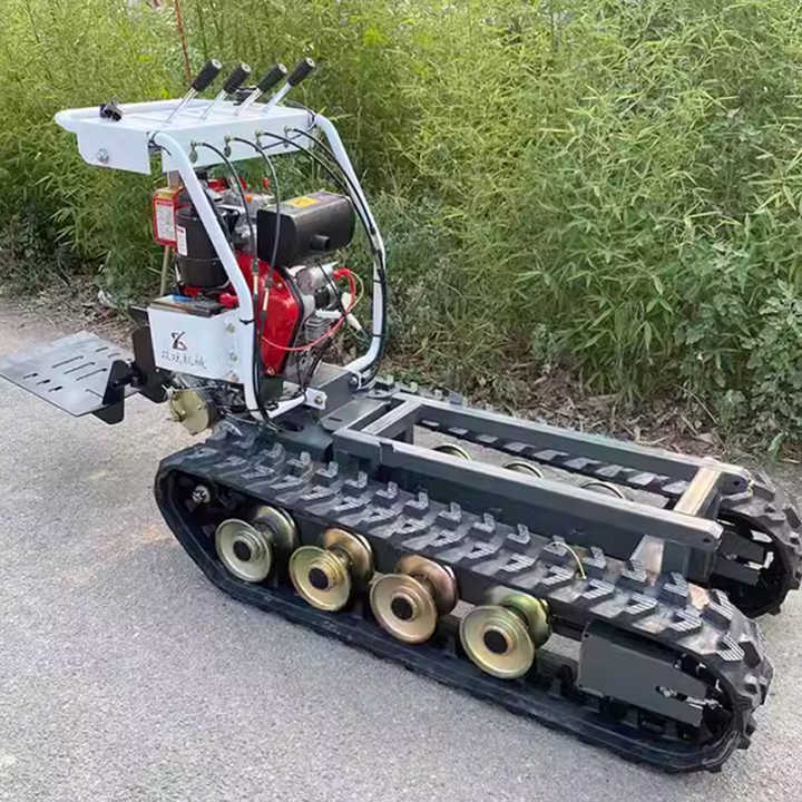Customizable Agricultural All-Terrain Crawler Transport Vehicle