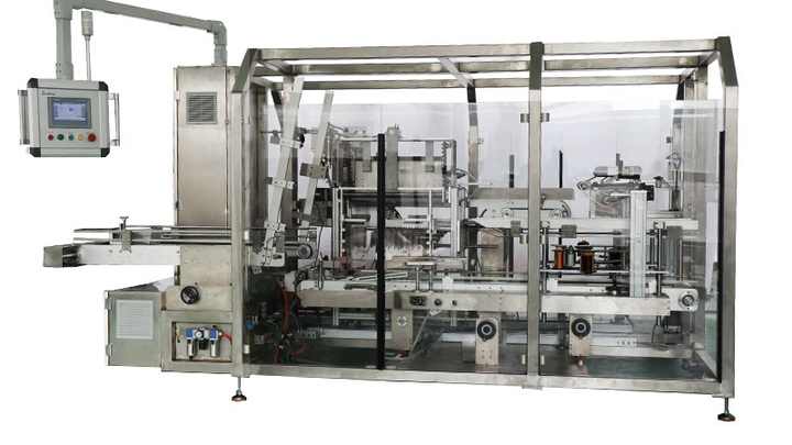 Side-load Carton Case Packer for Soft Pouch Soft-Bags Flexible Bags ...