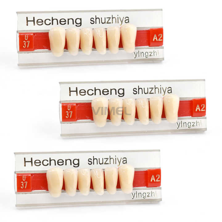Two Layers Synthetic Resin Teeth - Durable Dental Solutions