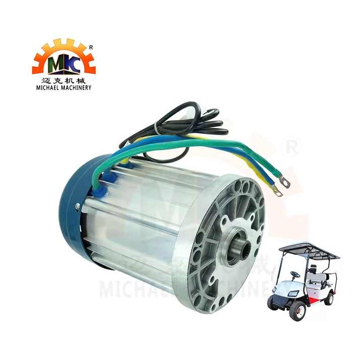 48V/60V/72V Permanent Magnet Synchronous Brushless DC Motors