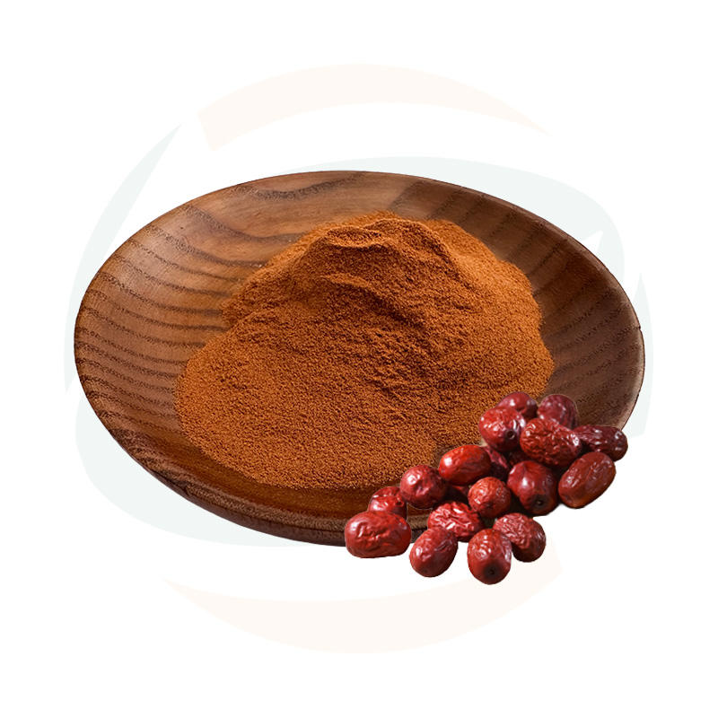China-Herb Supply Premium Jujube Extract Powder | Natural Chinese Herb ...