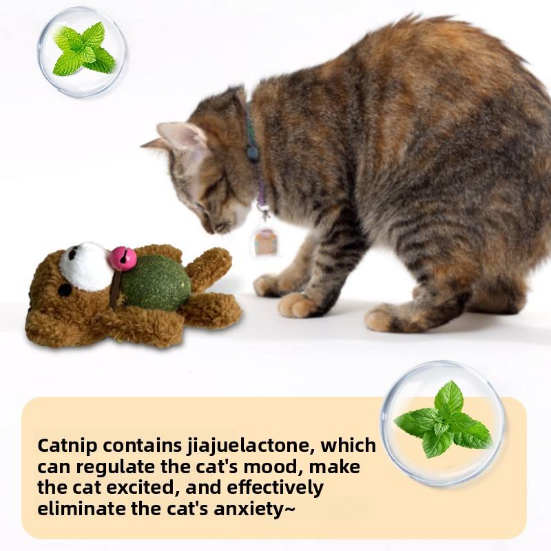 New Catnip Ball Cat Toy for Tooth Grinding Boredom Relief & Self ...