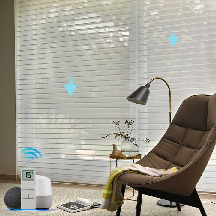 Alexa Control Electric Triple Shade Sheer Blinds Cordless Smart Double ...
