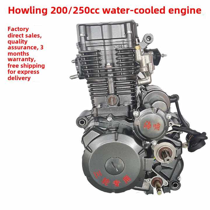 Hailao 250cc 4 Stroke Dual-Cycle Tricycle Motorcycle Engine