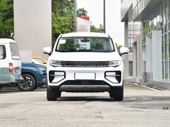 2024 Geely radar RD6 Electric Pick up Truck 4x4 Chinese Pickup Car ...