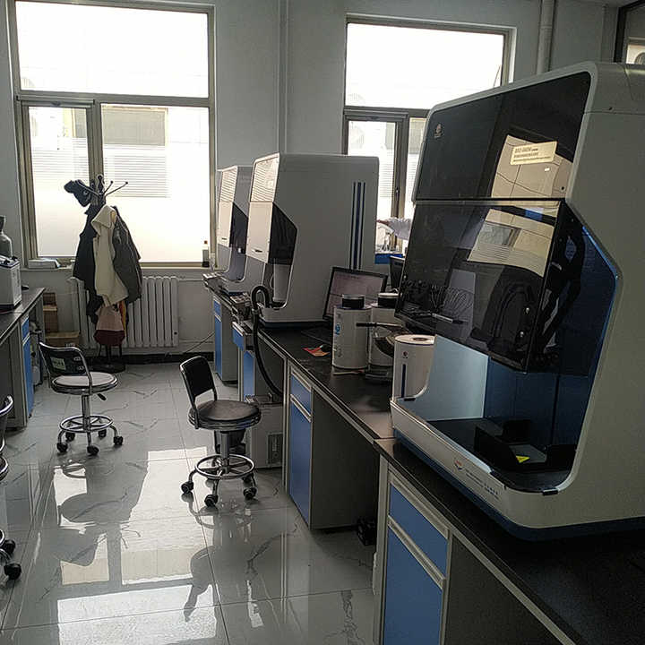 Laboratory High Pressure Gas Sorption Analyzer - LITH-BSD-PHE