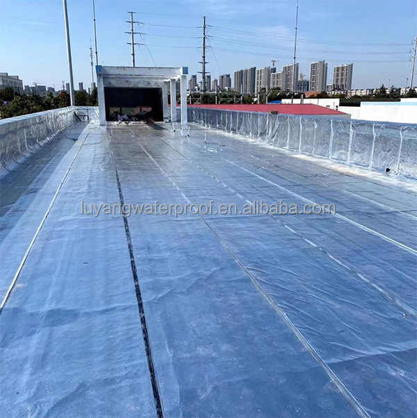SBS Material Waterproof Membrane bitumen waterproofing membrane ...