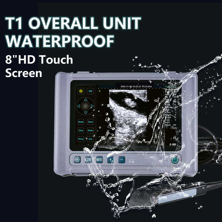 Portable Handheld Vet Ultrasound RS-T1 with Linear Rectal Probe Cheap ...