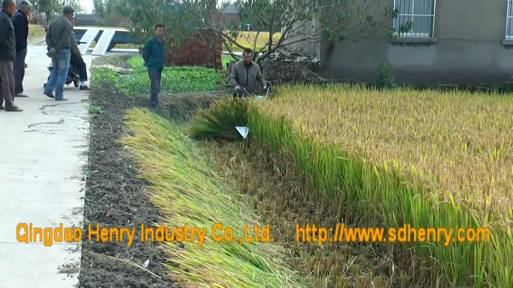 Hand Held Mini Wheat and Rice Harvesting Machine - High Productivity