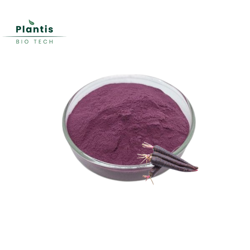 Purple Black Carrot Extract Powder by Plantis - 2 Year Shelf Life