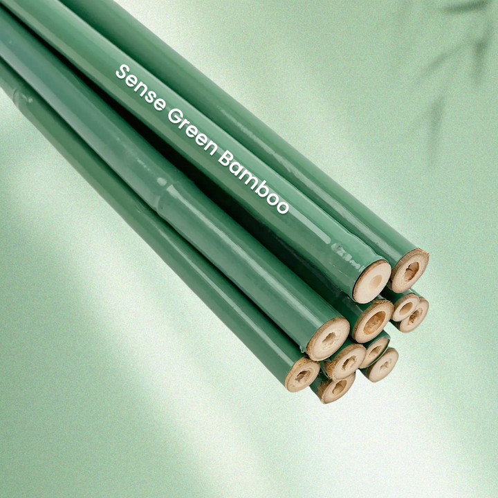 Green Plastic Coated Bamboo Poles PVC Bamboo Cane Sticks Bamboo Raw ...