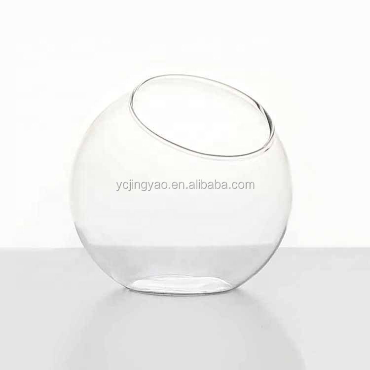 How to Choose the Best Terrarium Slant Cut 12 Inch for Your Setup