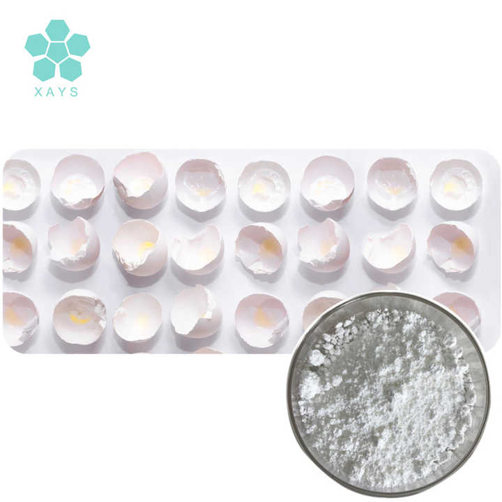 Inner Egg Shell Membrane Extract Peptide Powder - 99% Pure
